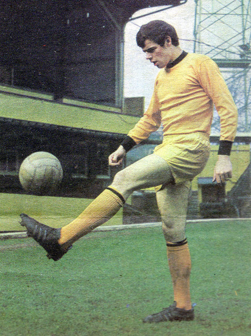 Stars On Parade – Wolves Heroes