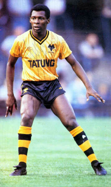 Death Of Neville Hamilton – Wolves Heroes