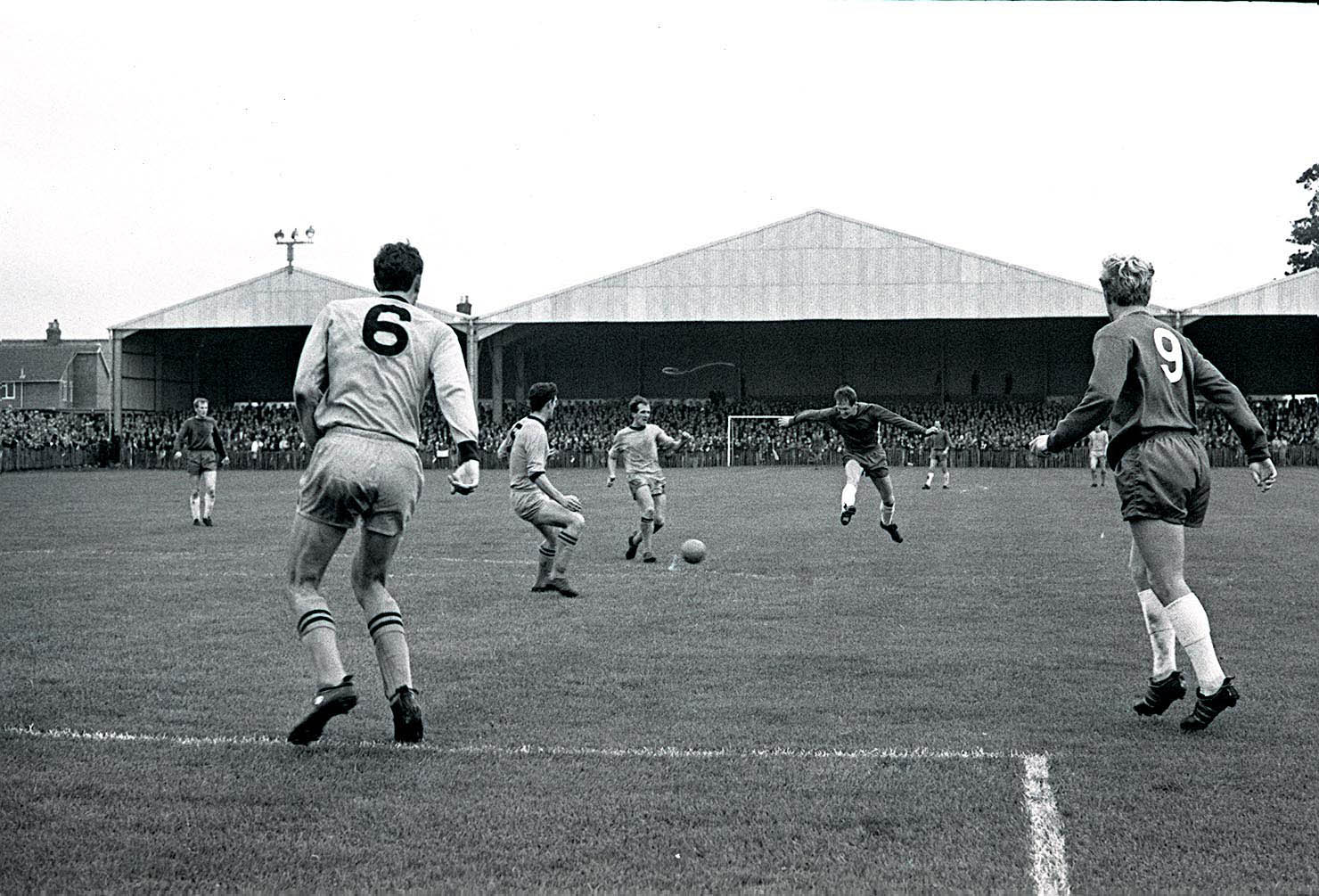 David Burnside: 1939 – 2009 – Wolves Heroes