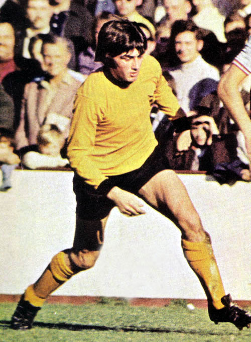 A True Star Signing! – Wolves Heroes