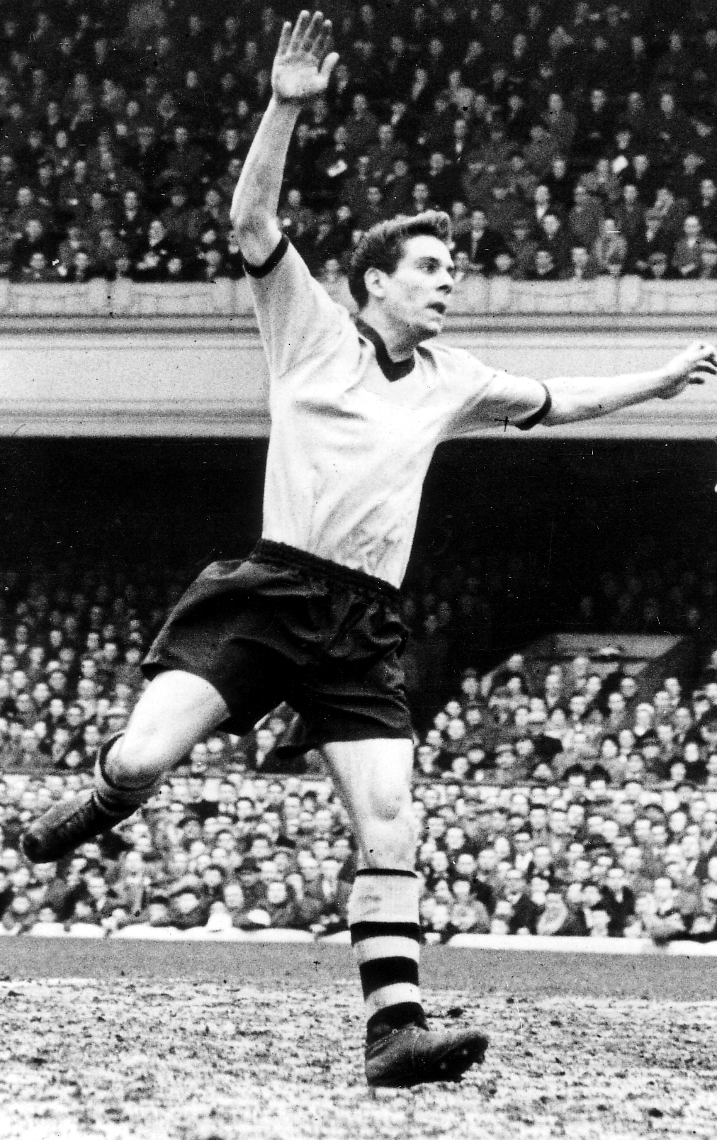 Tale That Explodes The Cullis Myth! – Wolves Heroes