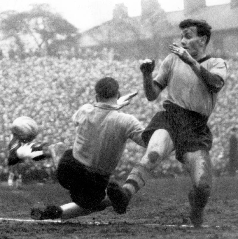 A Most Golden Anniversary – Wolves Heroes