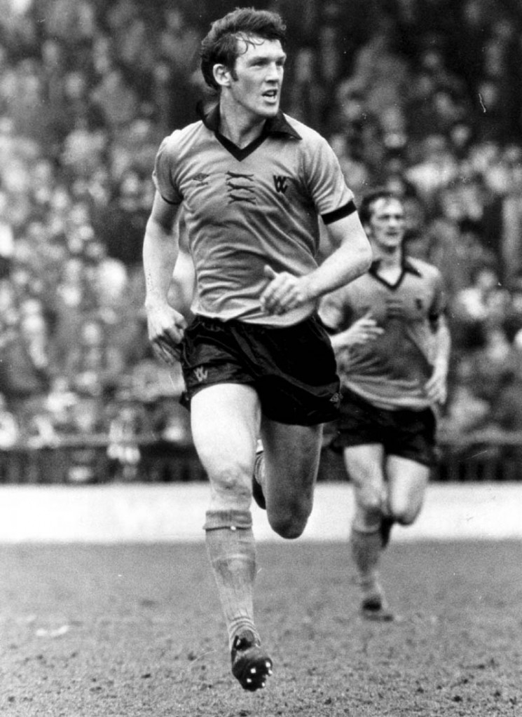 Dear Diary, Entry Eight – Wolves Heroes