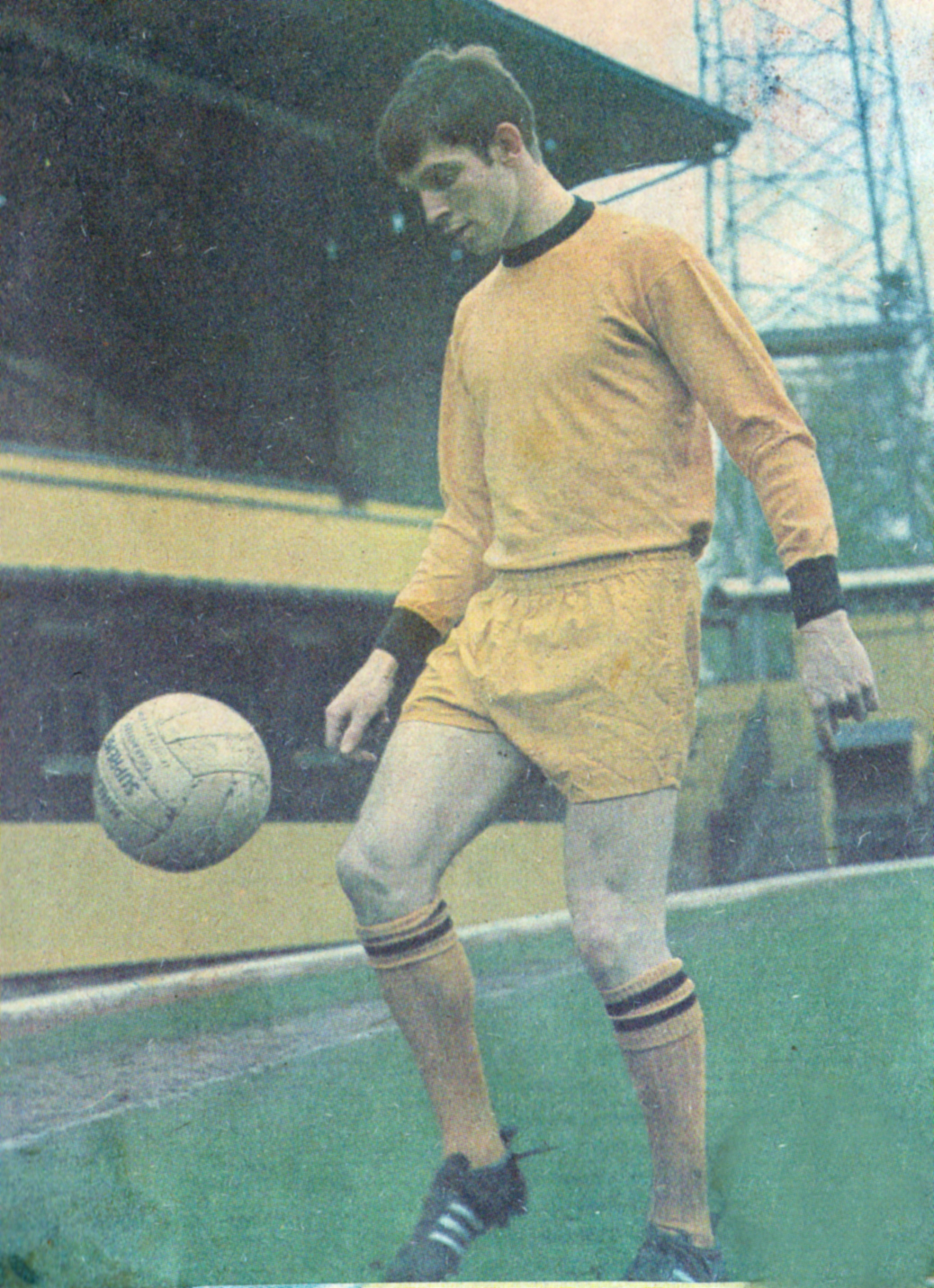 A Calling That’s Hard To Resist – Wolves Heroes